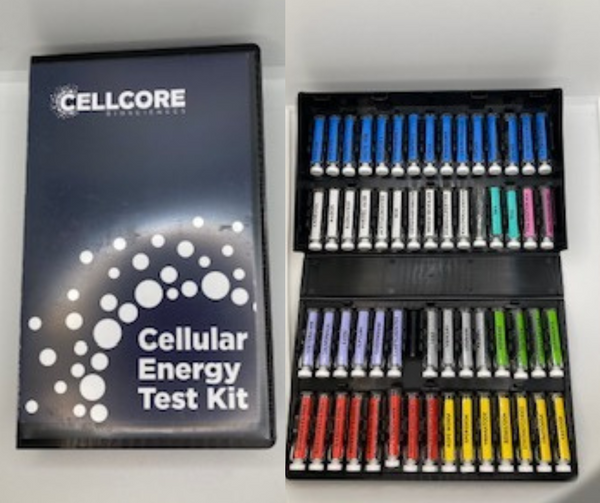 Virtual Muscle Testing – Holistic Wellness Plus